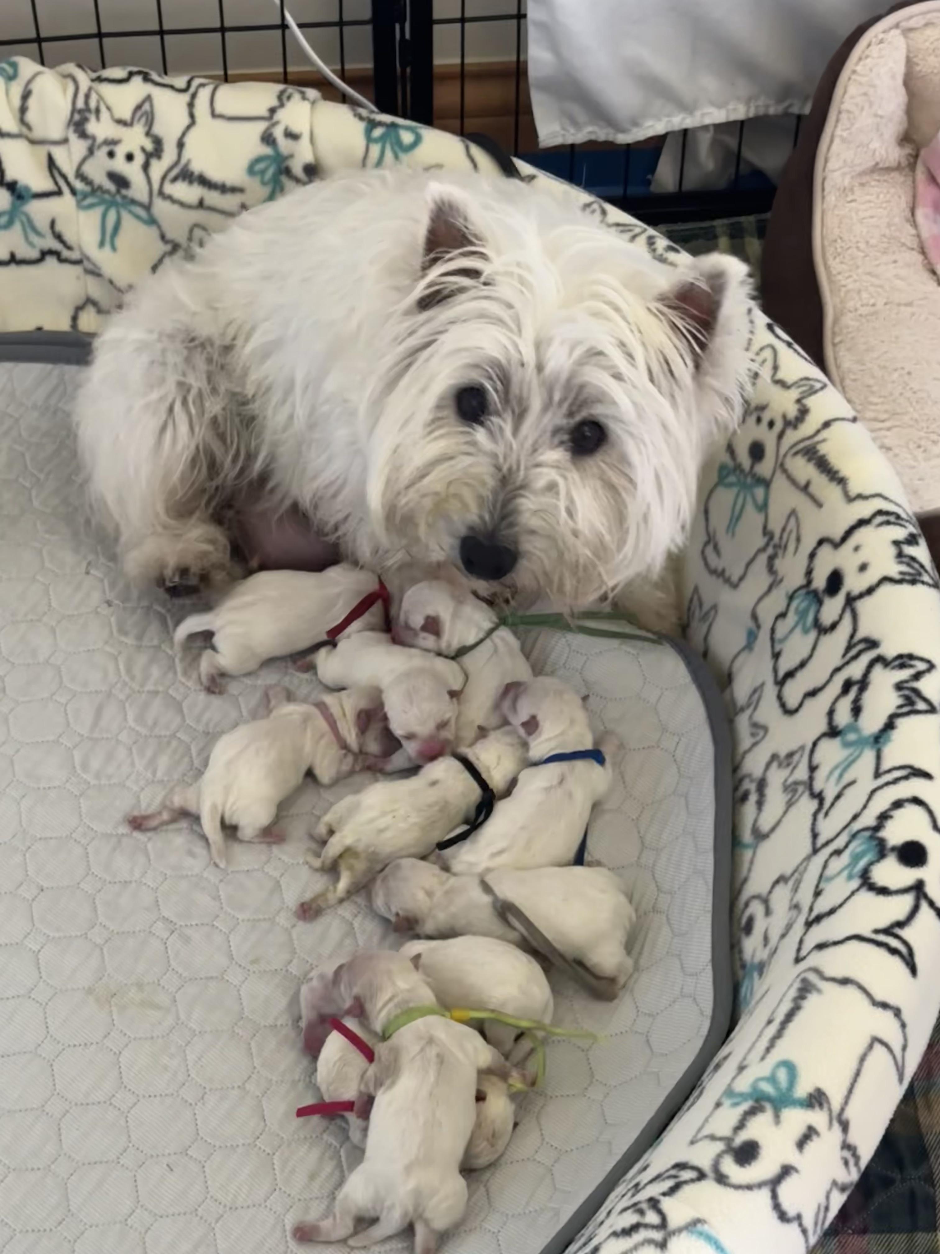 May13, 2024 | Scrolller