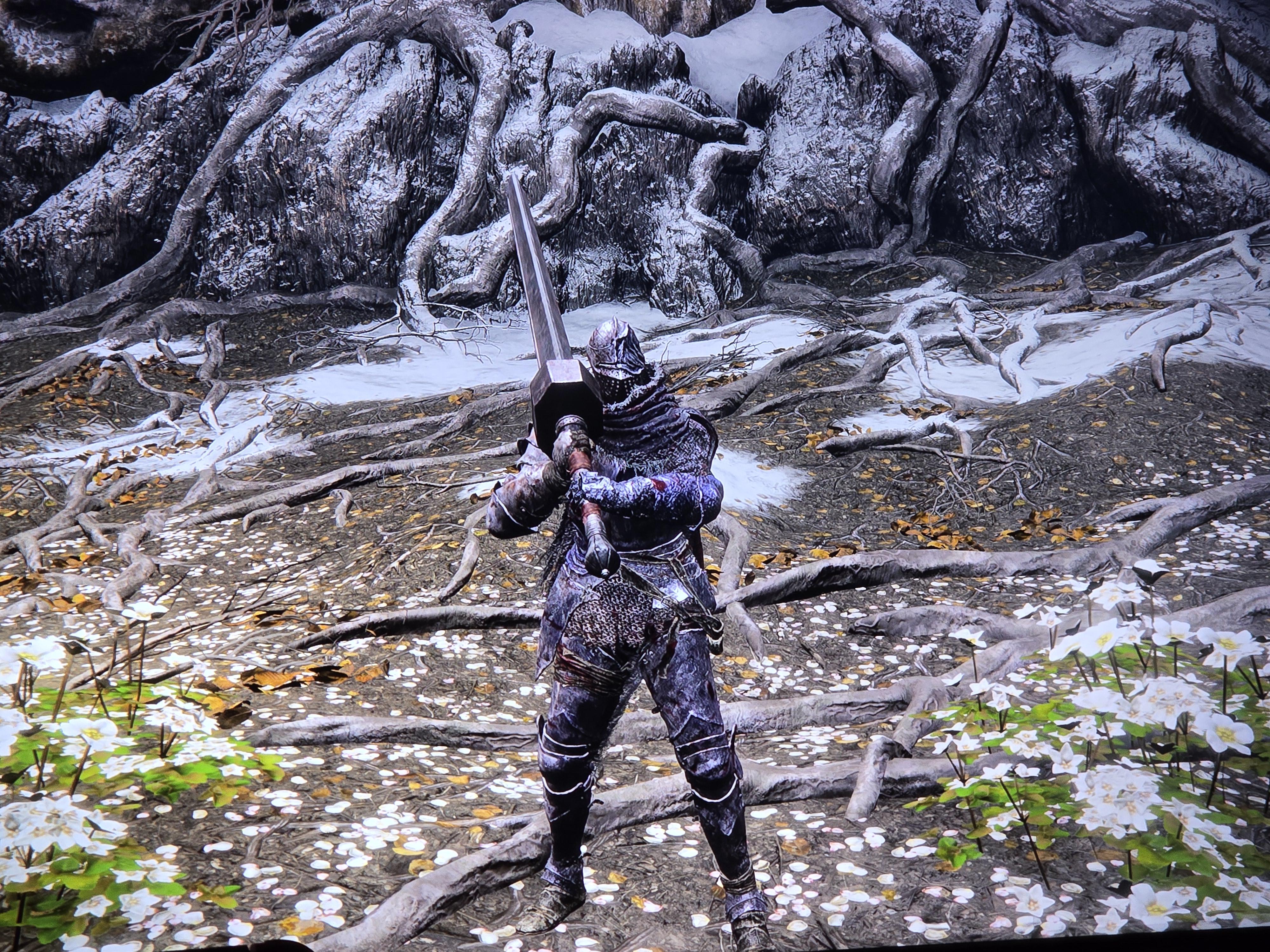 Defeated malenia using my favorite armor | Scrolller