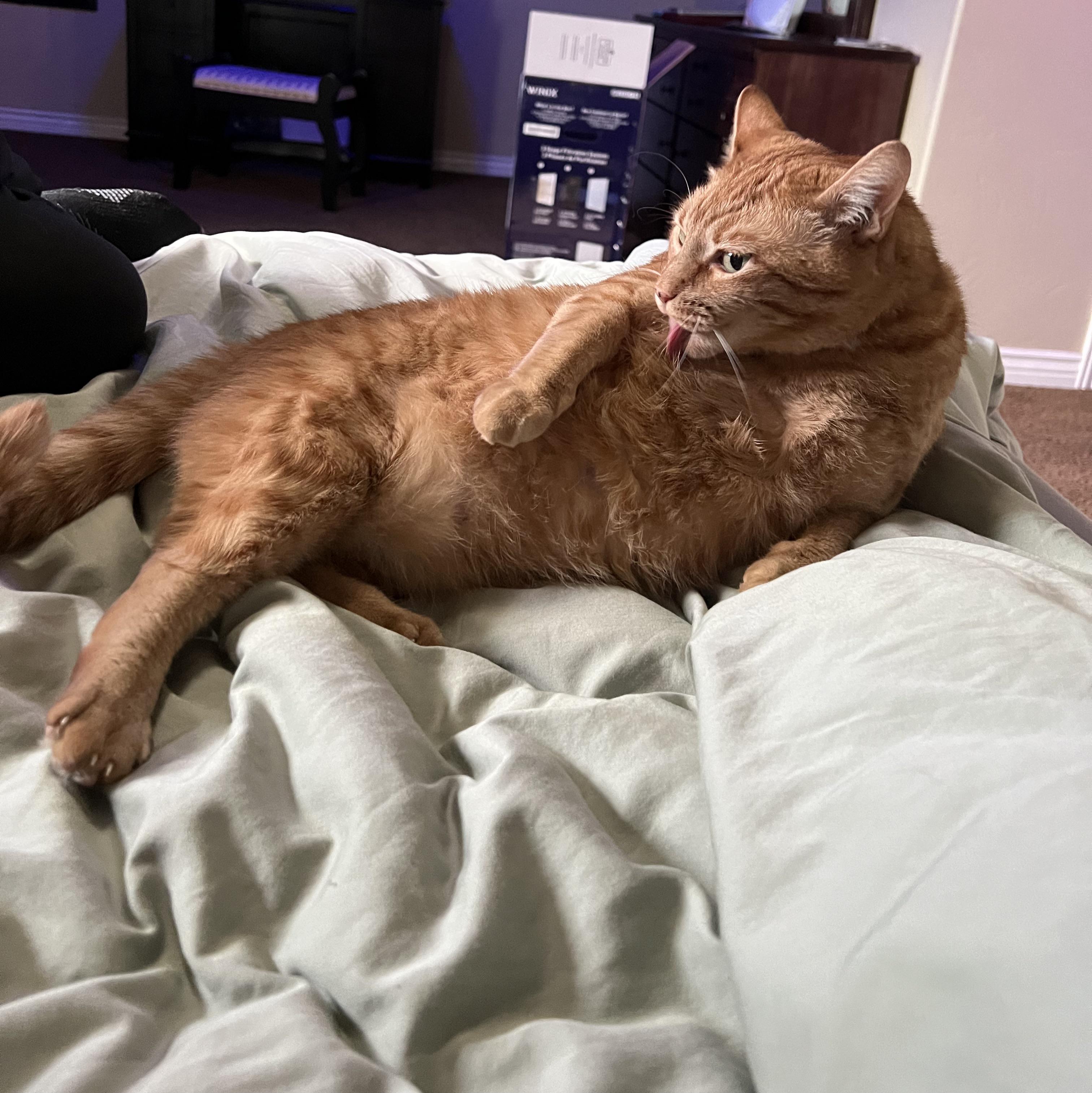 side eye | Scrolller