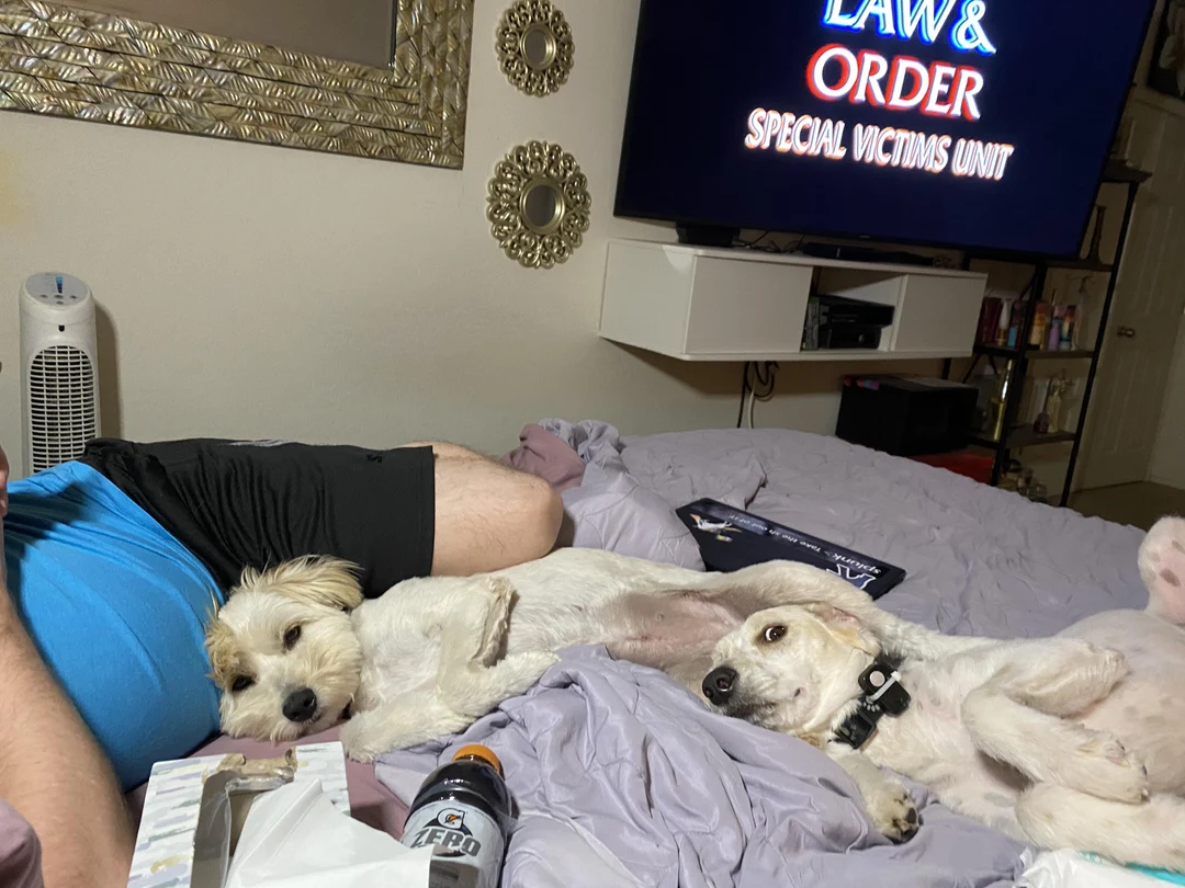 Floofy and bugging | Scrolller