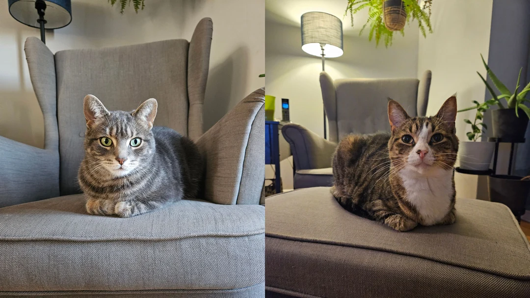 Double loaf | Scrolller