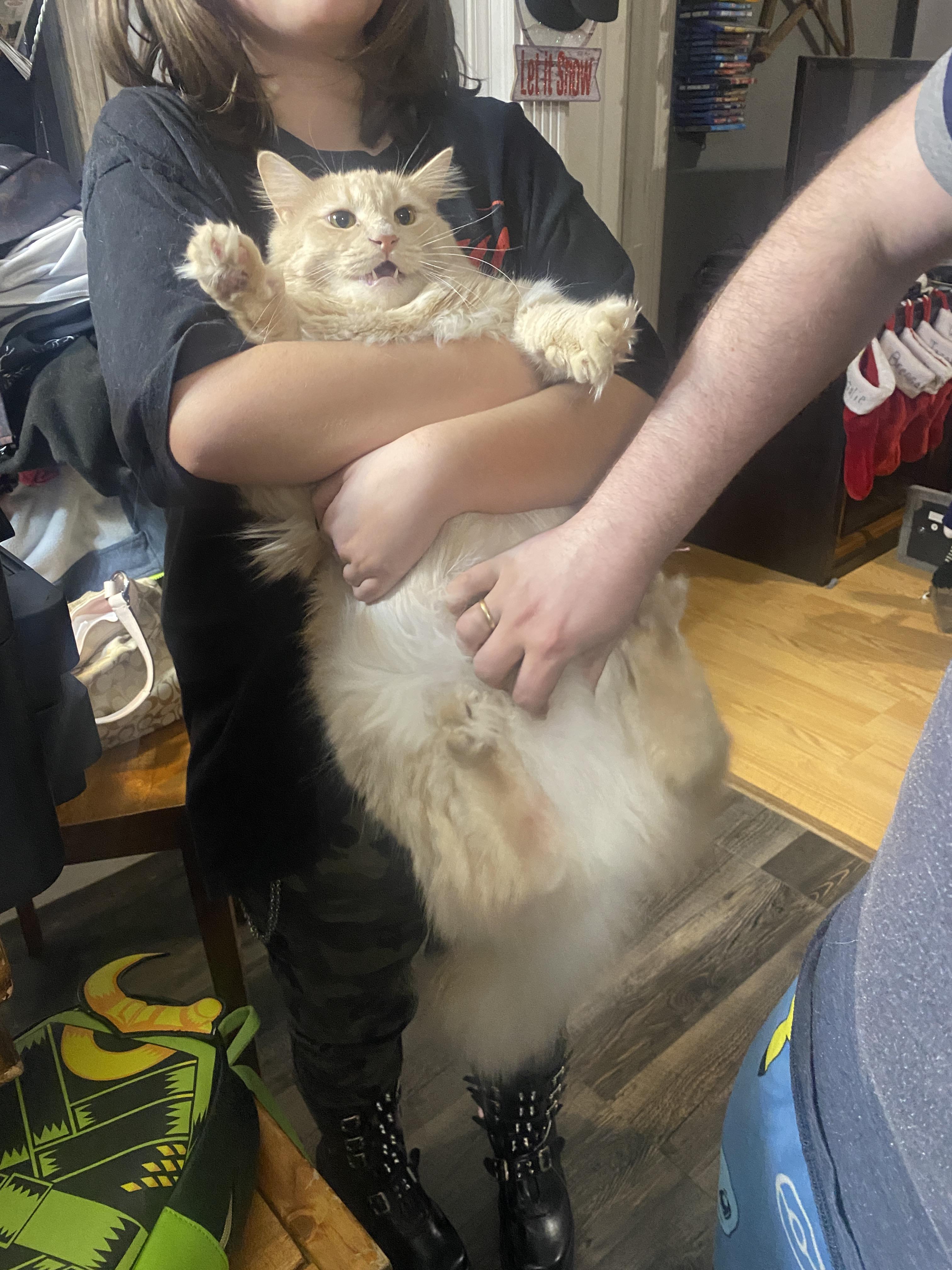 My bf’s absolute unit | Scrolller