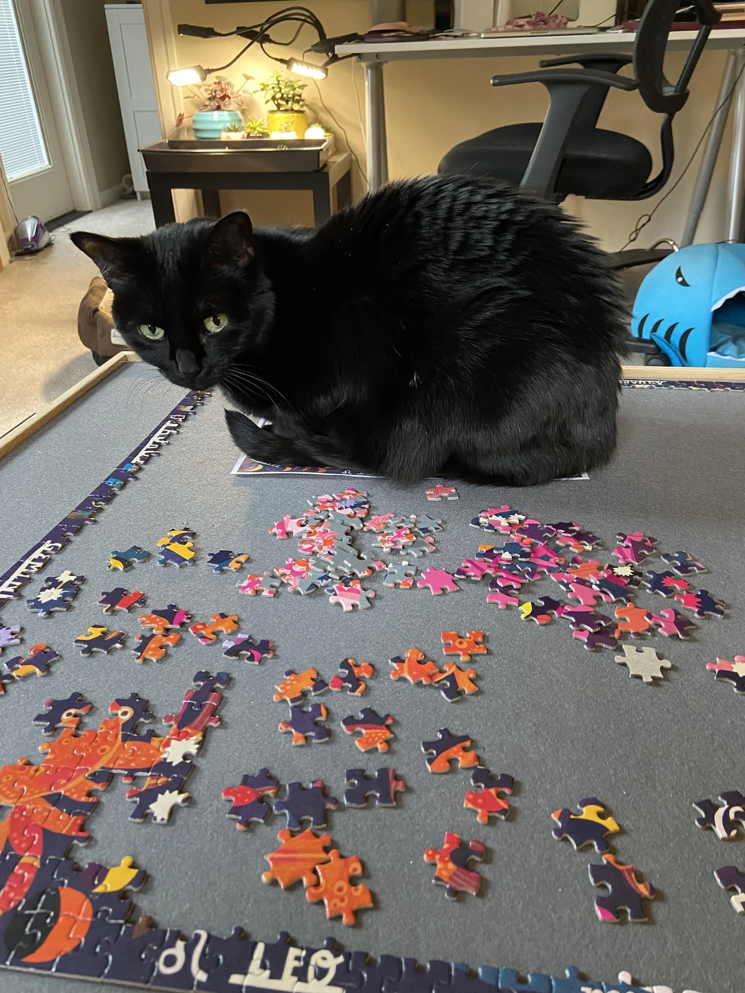 Just need one piece of paper to trap this one | Scrolller