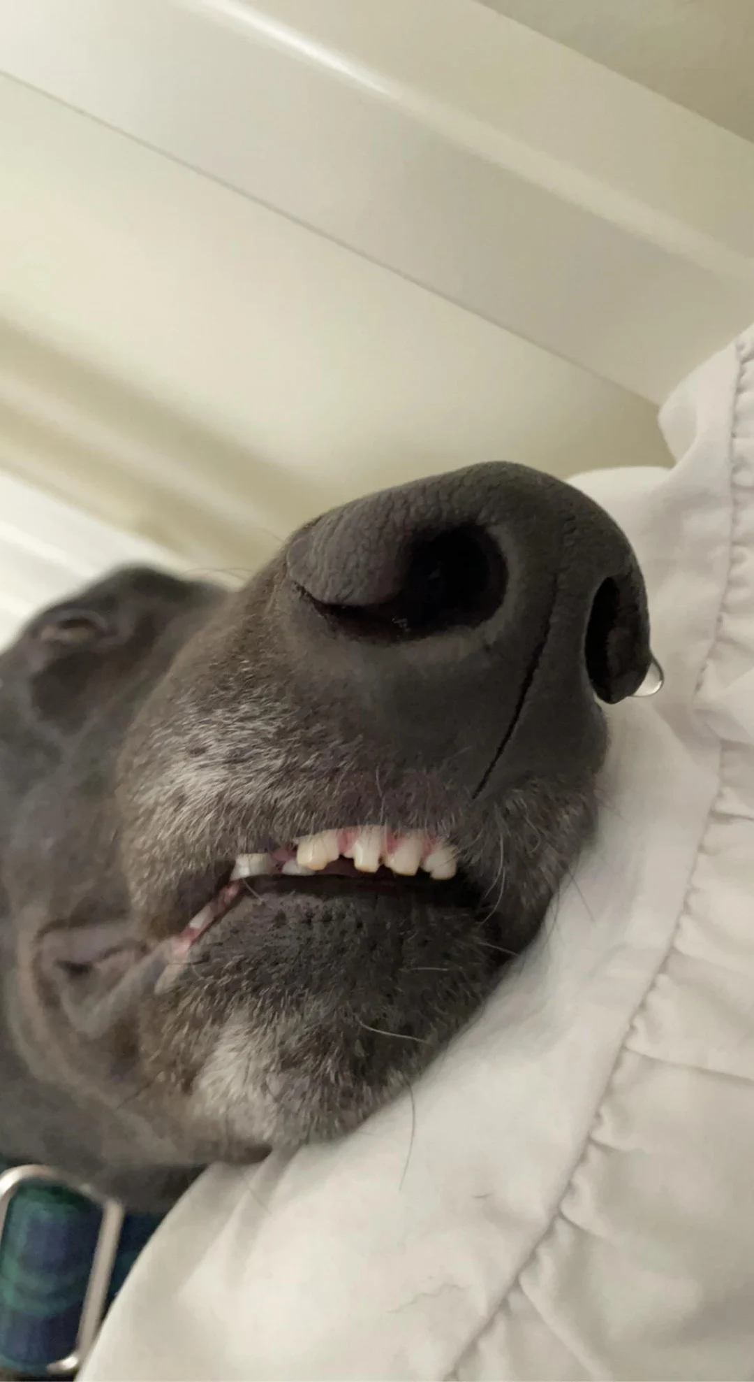 Ultimate relaxation | Scrolller