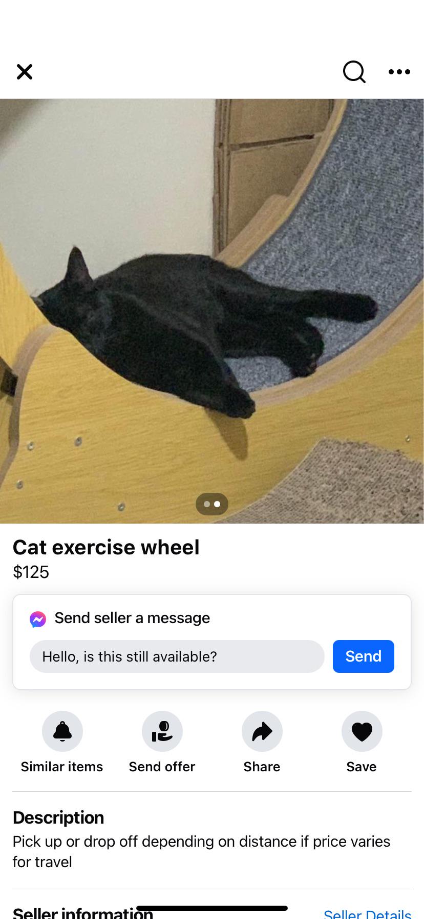 Does anyones cat actually ‘use’ their exercise wheel? | Scrolller