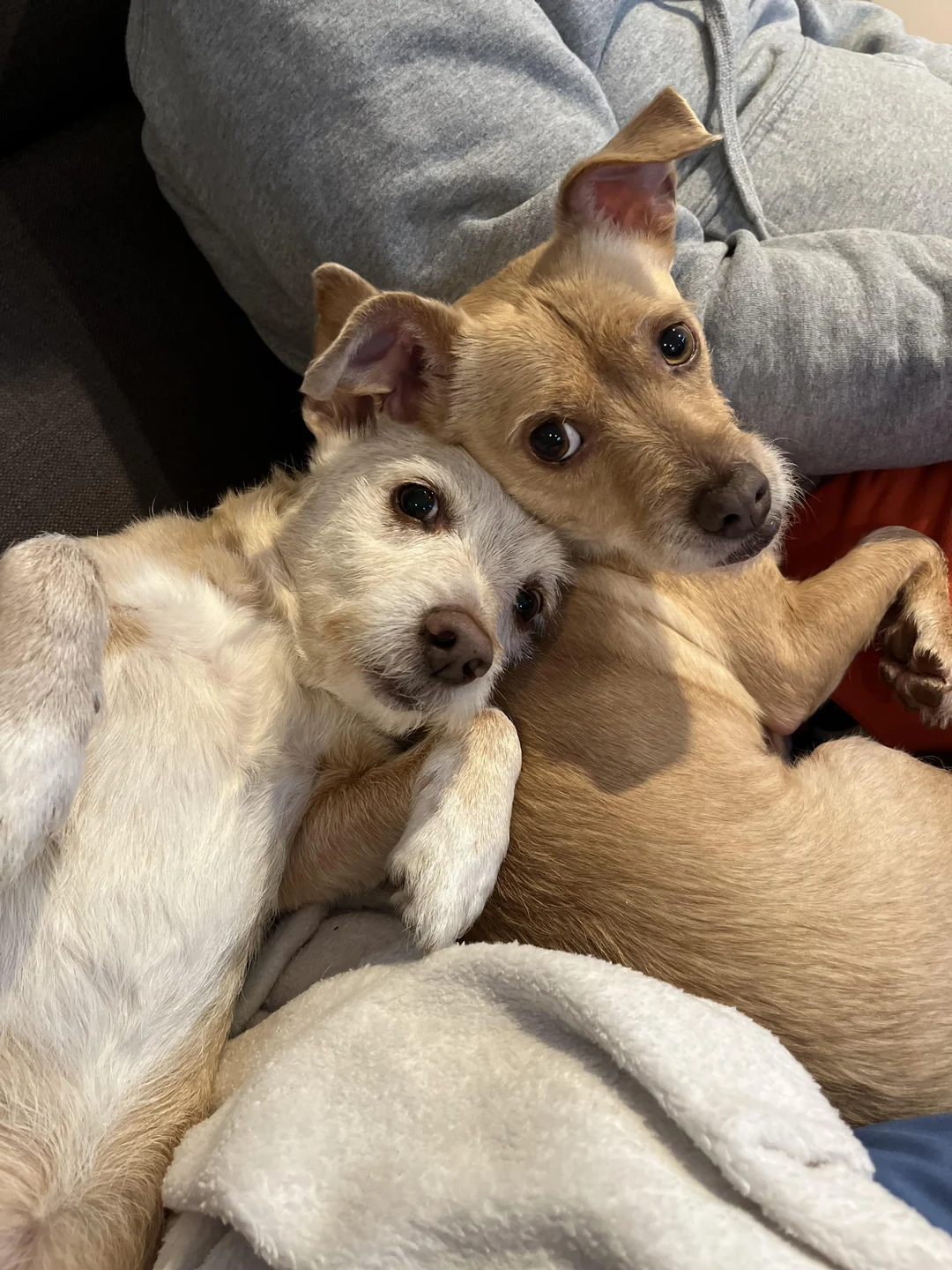 A family snuggle | Scrolller