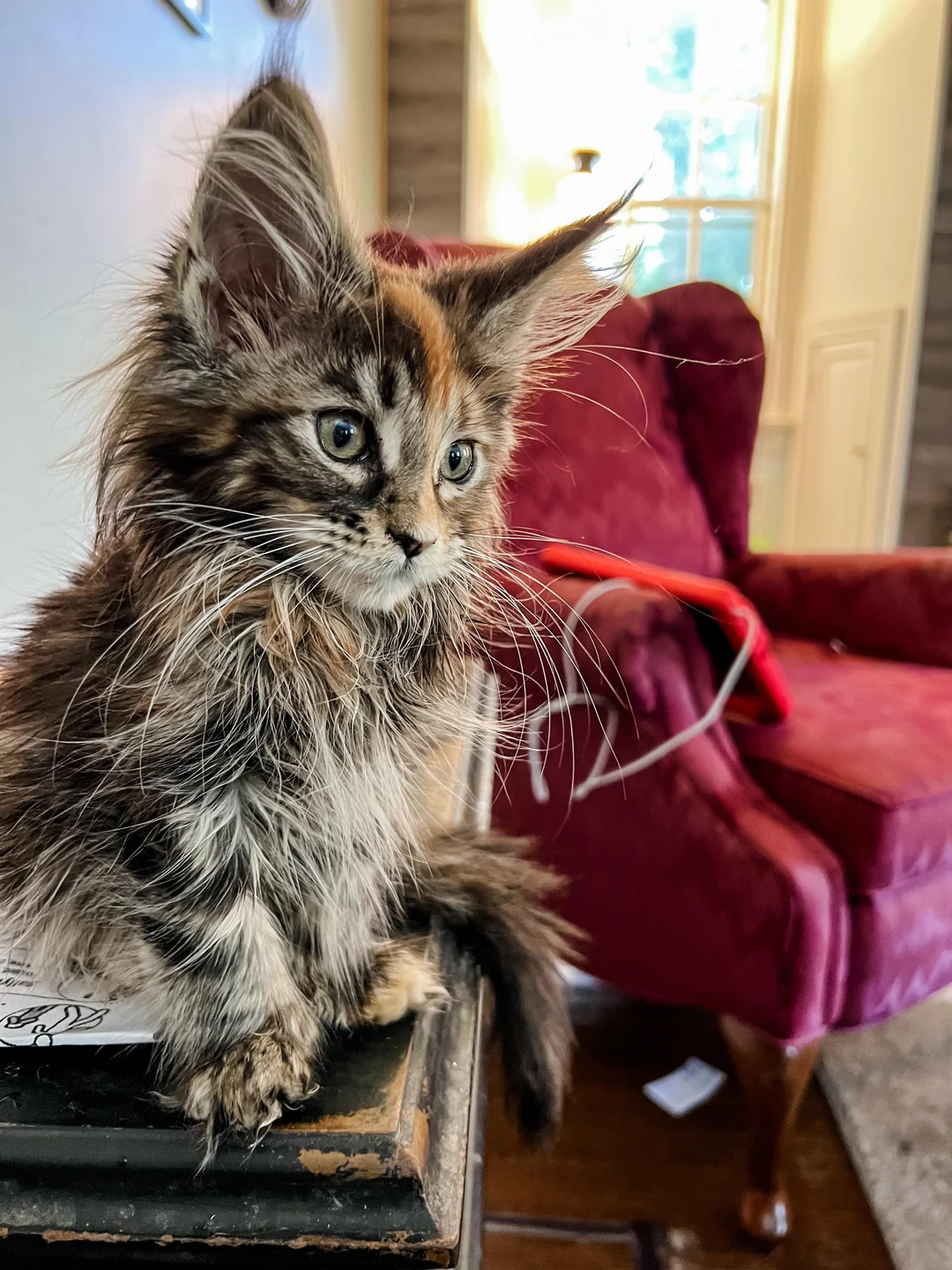 Currently, she’s Evelyn Meadow. | Scrolller