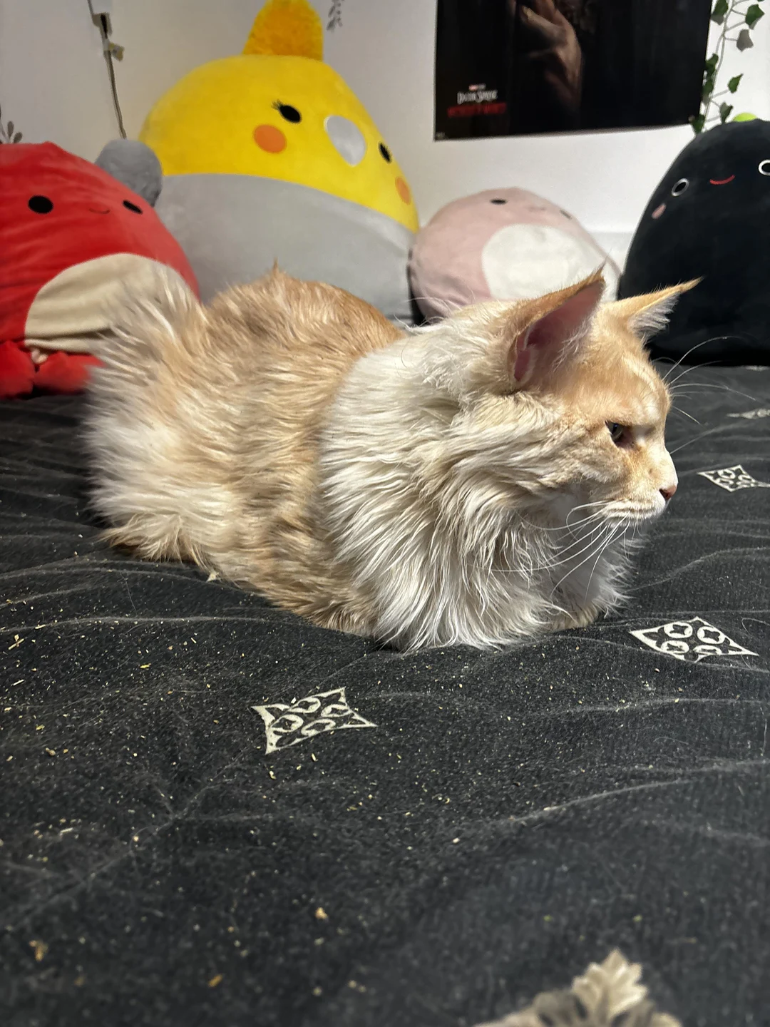 Rate the loaf?? | Scrolller