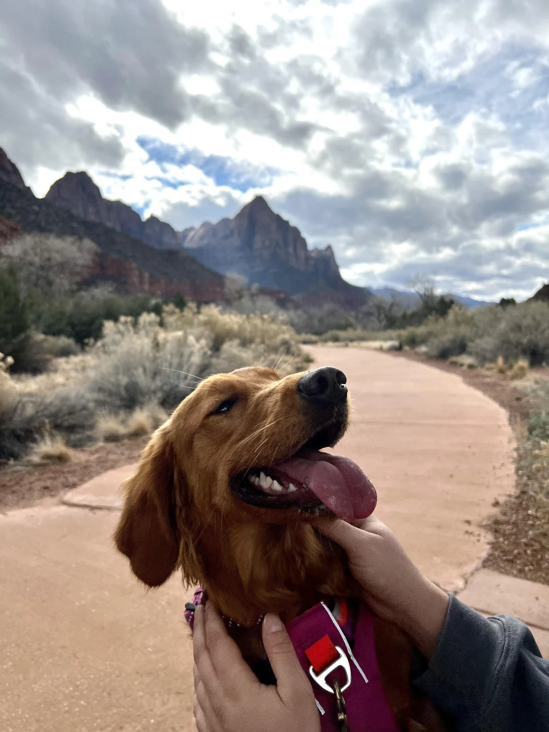 [OC] Let’s go on a hike! | Scrolller