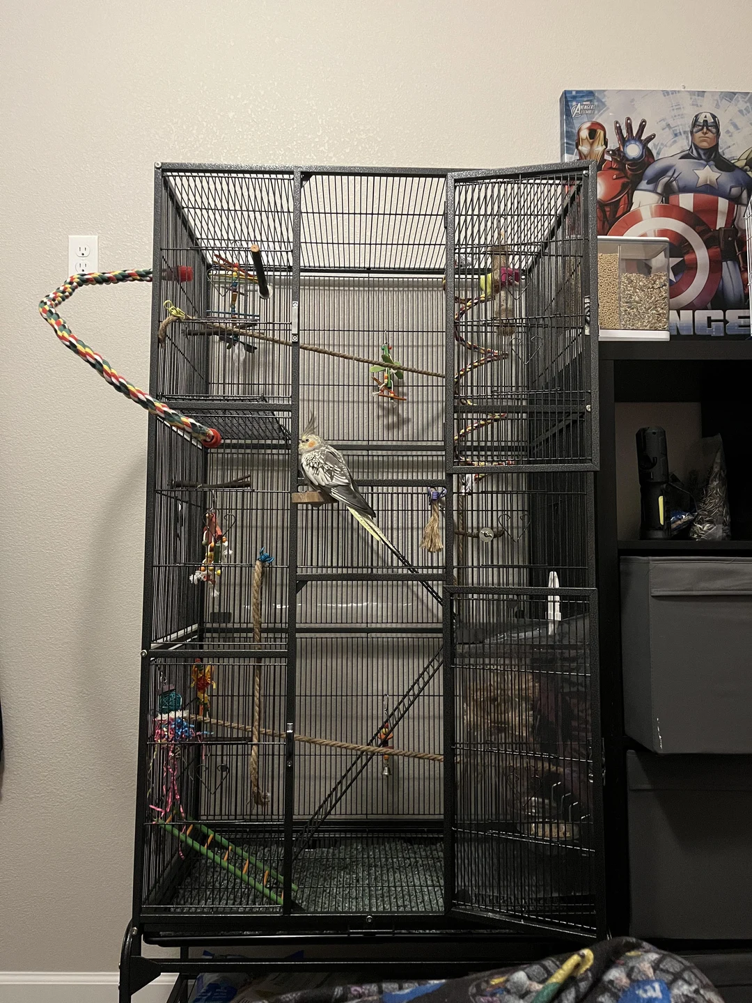 Finally upgrade my little gals cage. Now she for sure has some room for a friend or 8 👀 jk but I ...