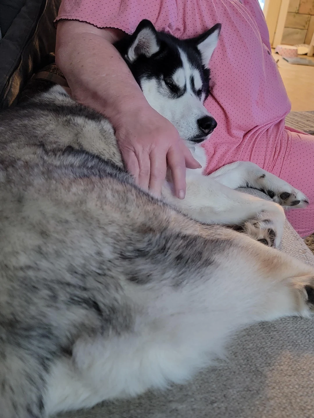 Luna cuddling with her Grandma | Scrolller
