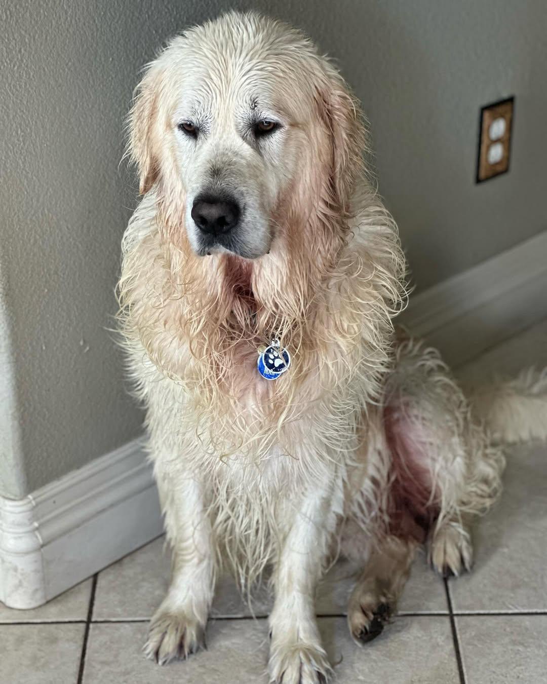 Soaked and sneaky! | Scrolller