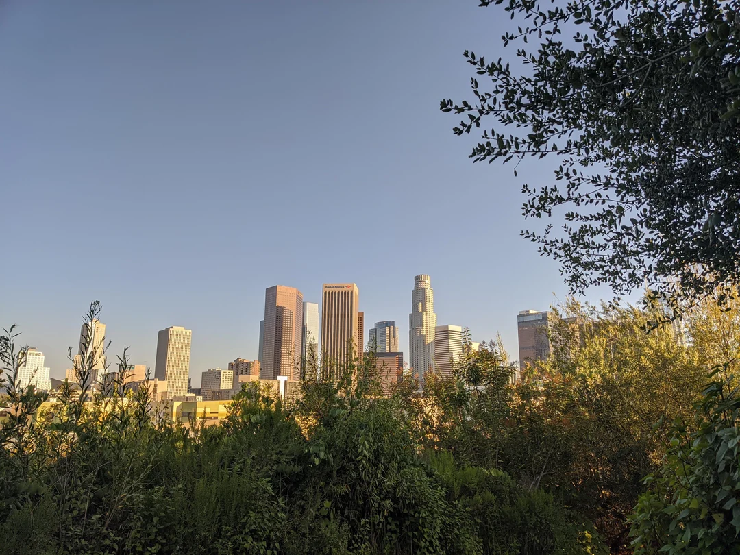 Los Angeles, CA | Scrolller