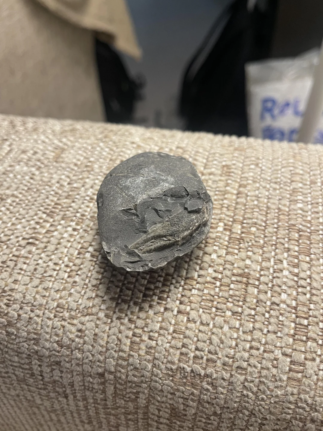 Just cracked | Scrolller