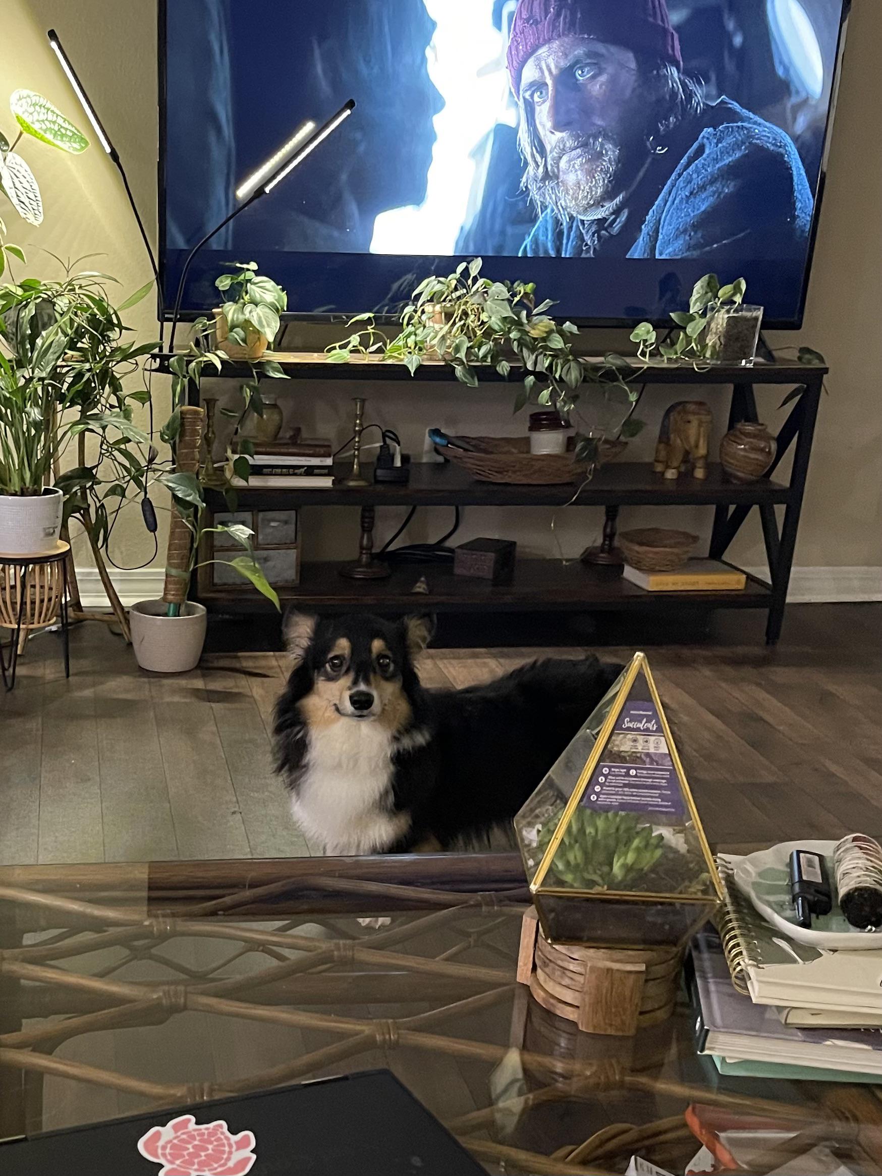 Got caught! | Scrolller