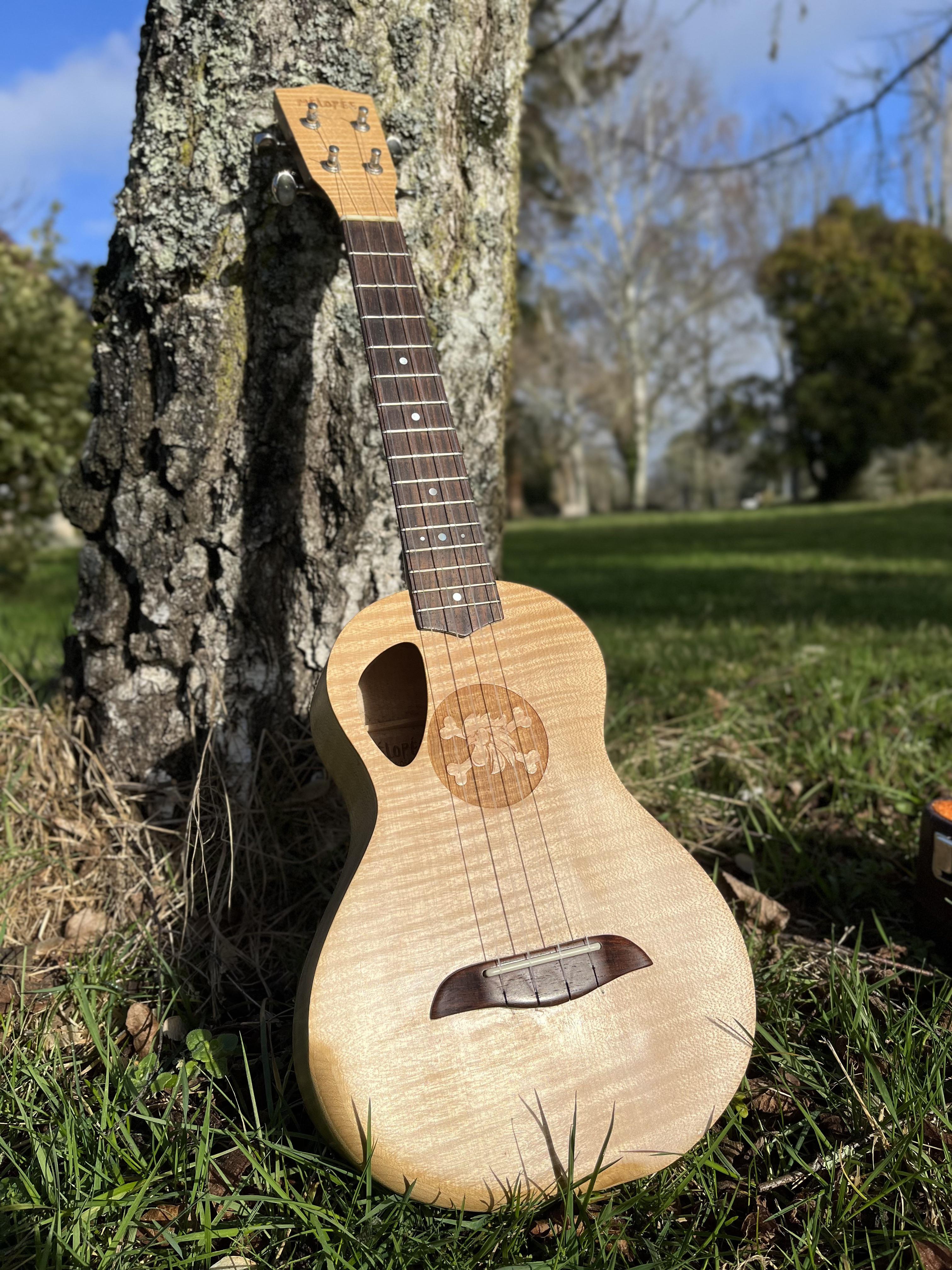 New camera, so here’s a new picture of my beloved Mélopée custom. | Scrolller