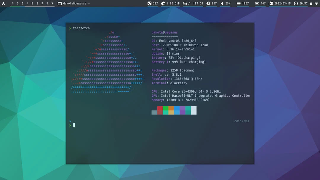 [BSPWM] the little thinkpad that could | Scrolller