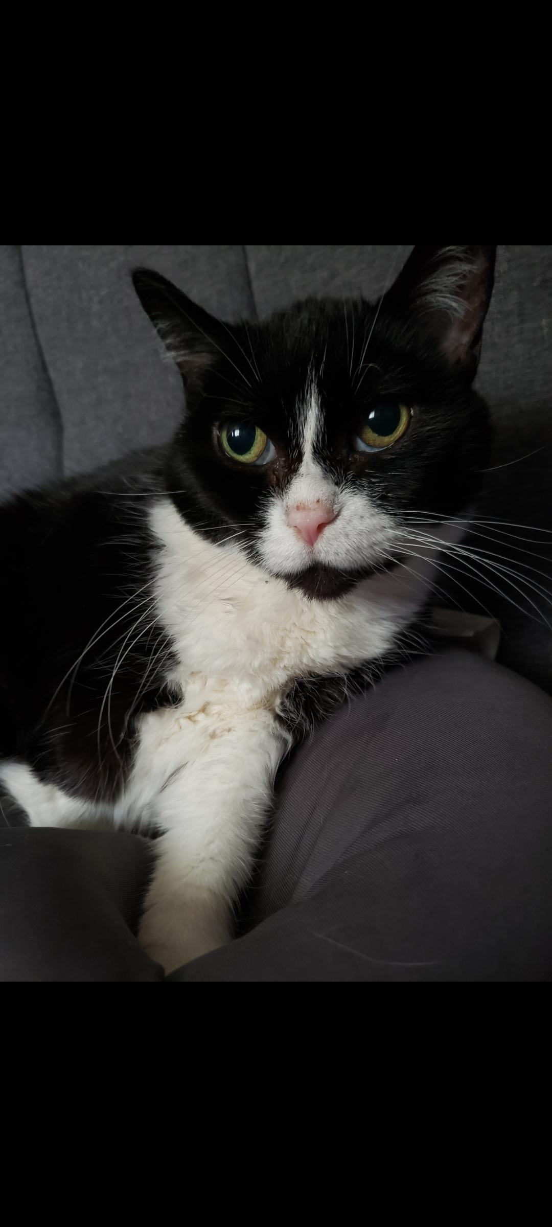 My old lady crossed the bridge | Scrolller