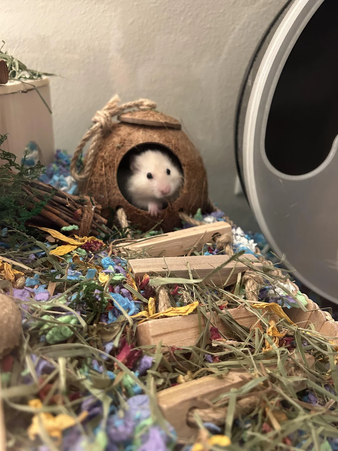 Cage layout satisfaction | Scrolller