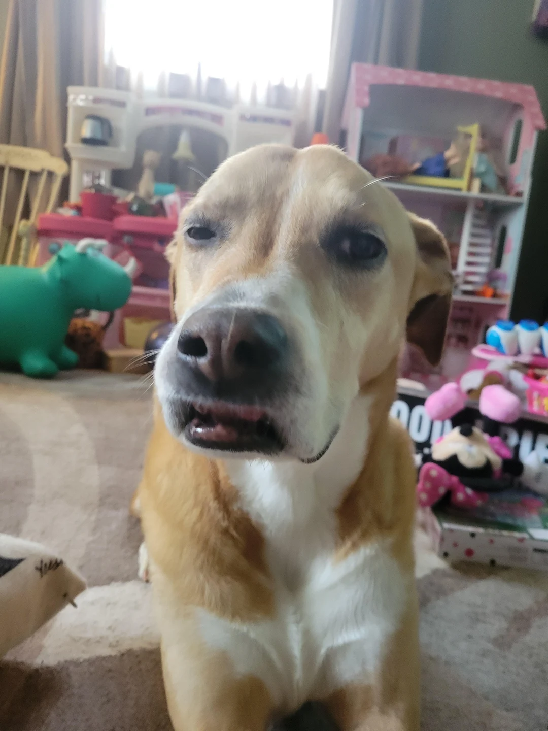 She's not stroking out...she's just weird | Scrolller