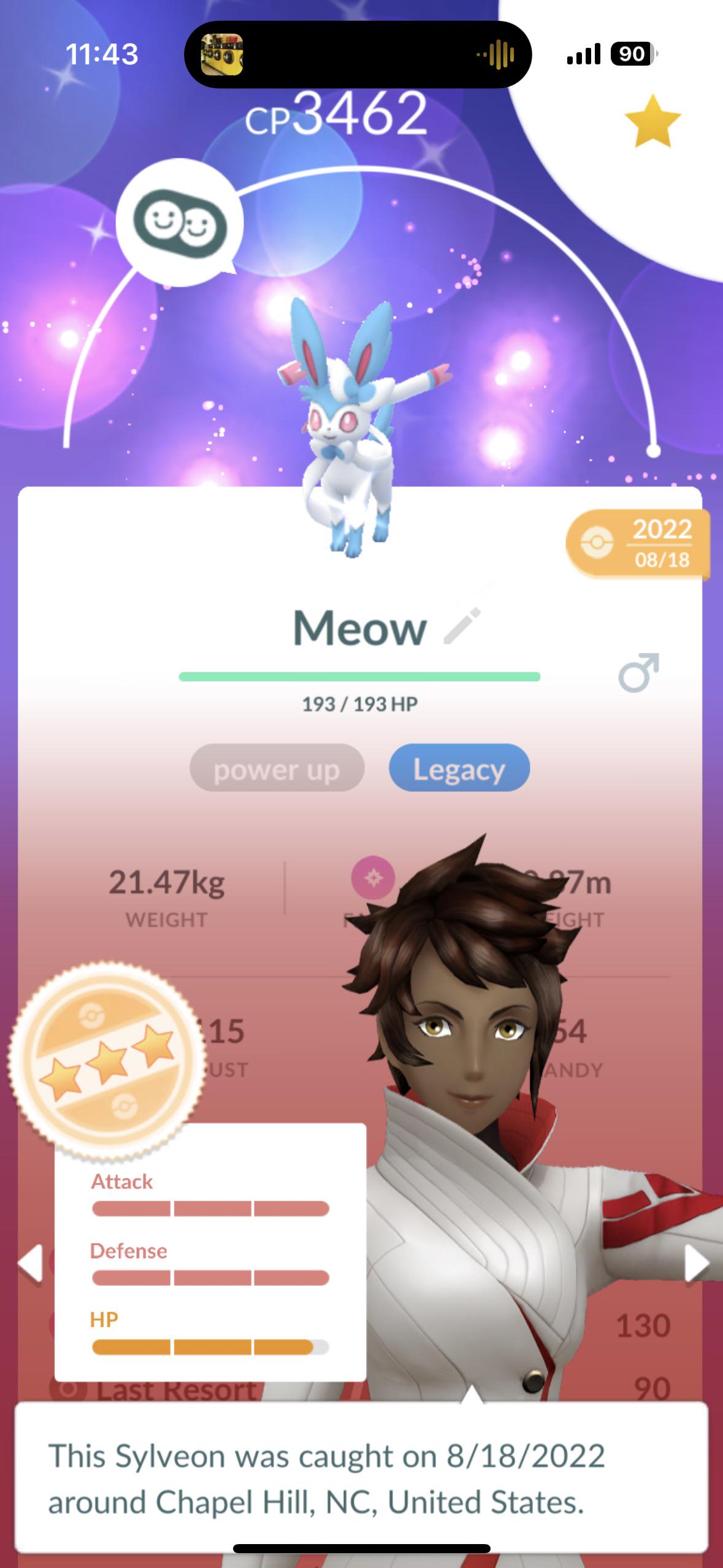 Maxed out my cat | Scrolller