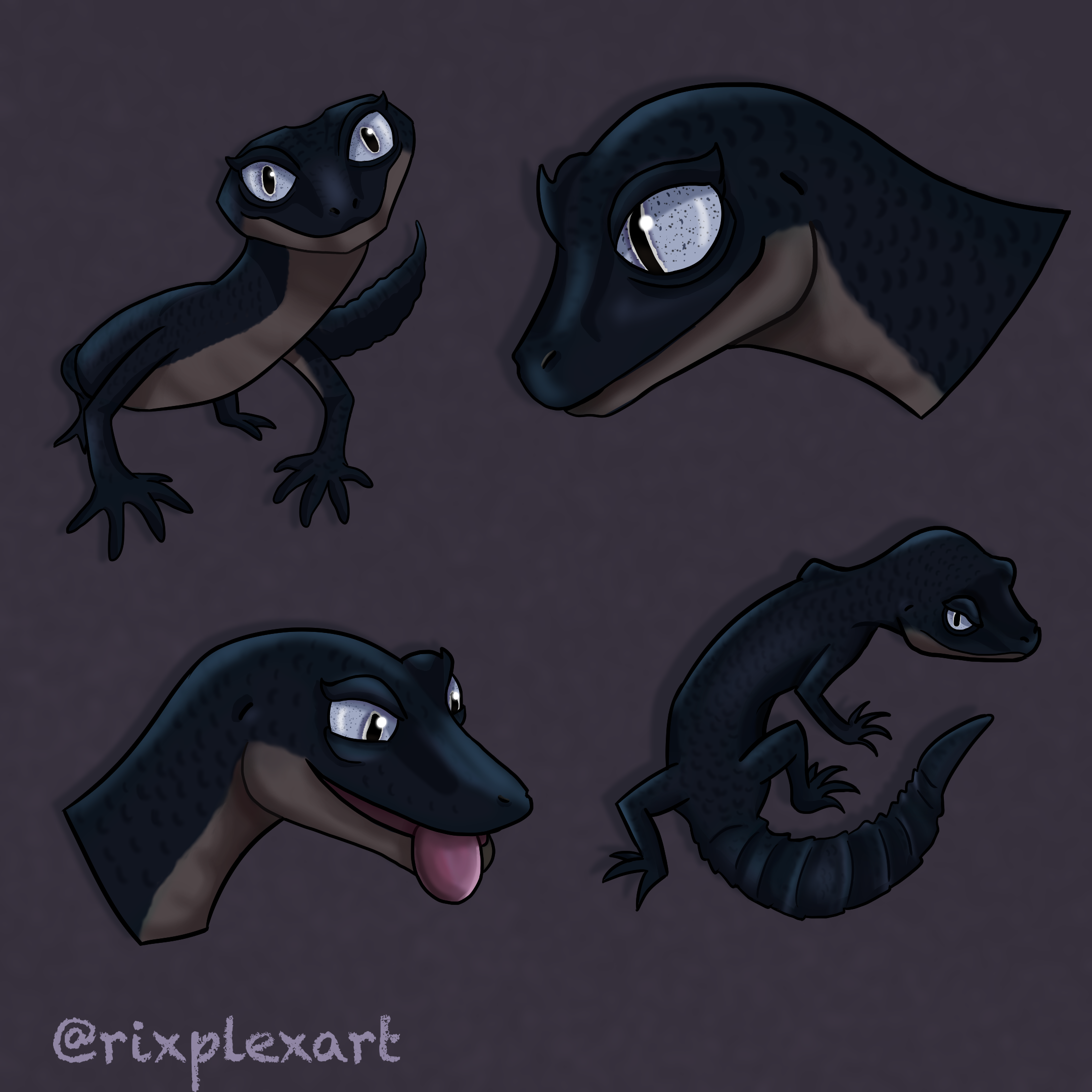 Another gecko drawing I made :) | Scrolller