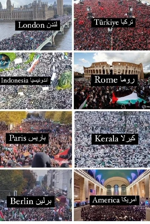 The world is standing with Palestine | Scrolller