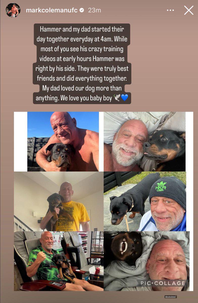 RIP Hammer | Scrolller