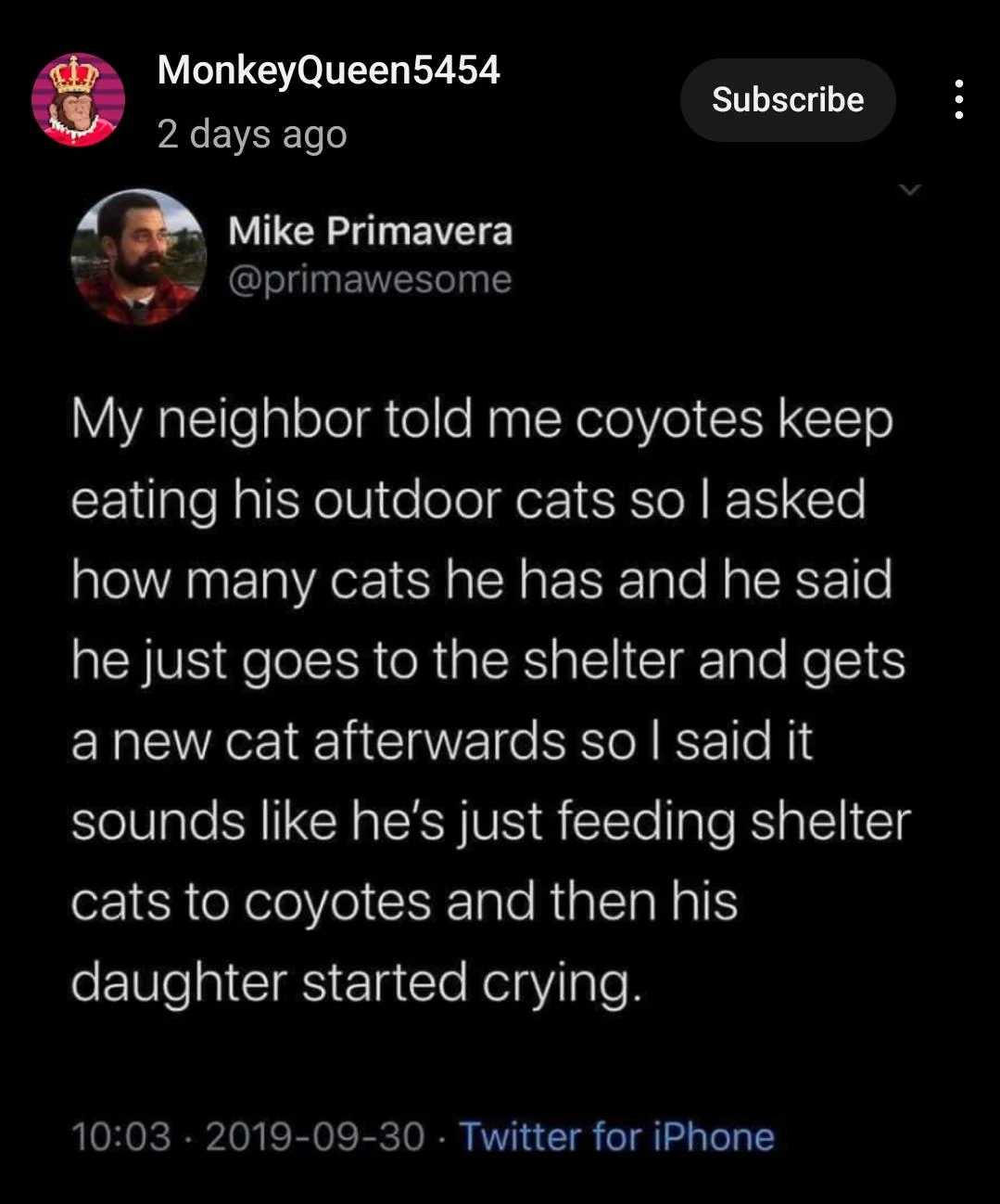 Poor cats | Scrolller