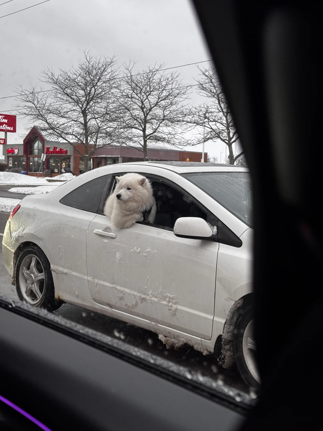 A distinguished gentleman | Scrolller