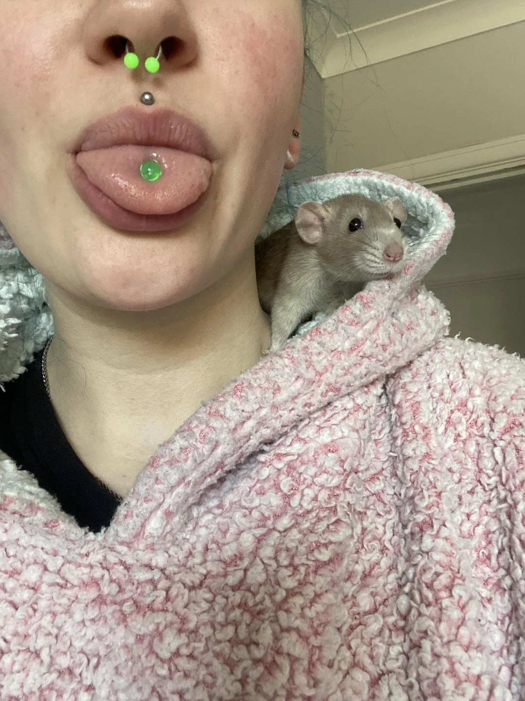 this is peanut 🥜 🐀 | Scrolller