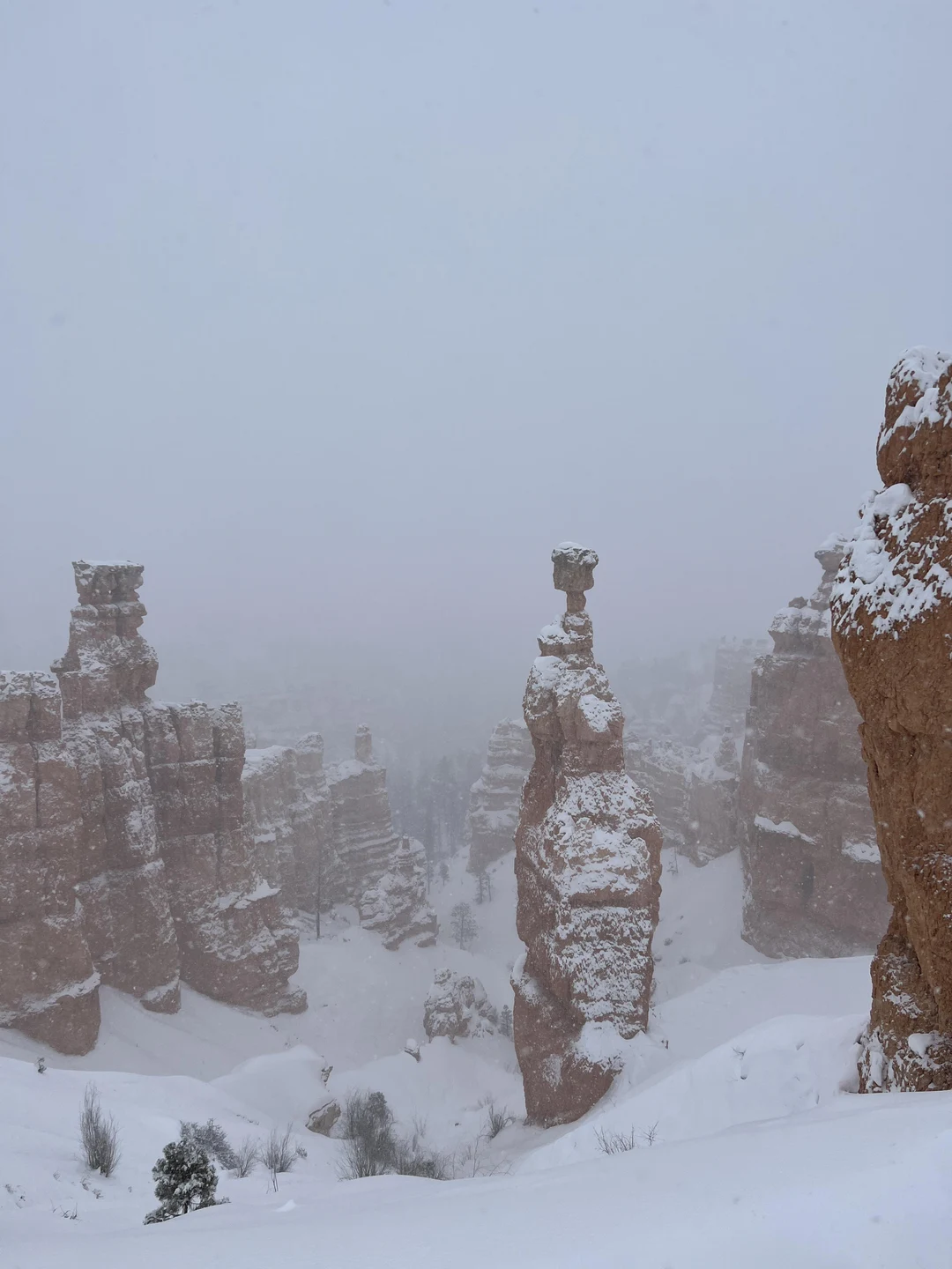 Bryce Canyon National Park during Winter [OC] [3024x4032] | Scrolller