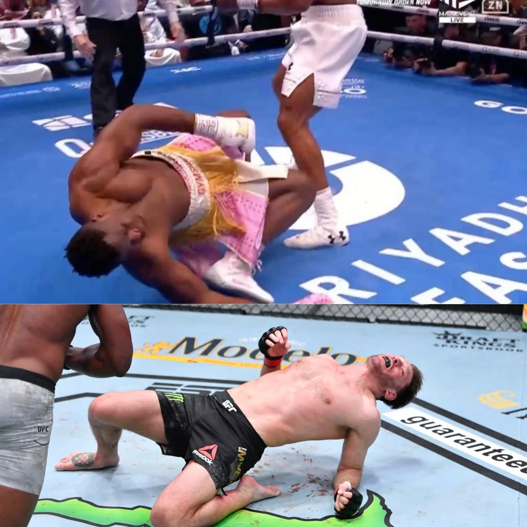 Full circle | Scrolller