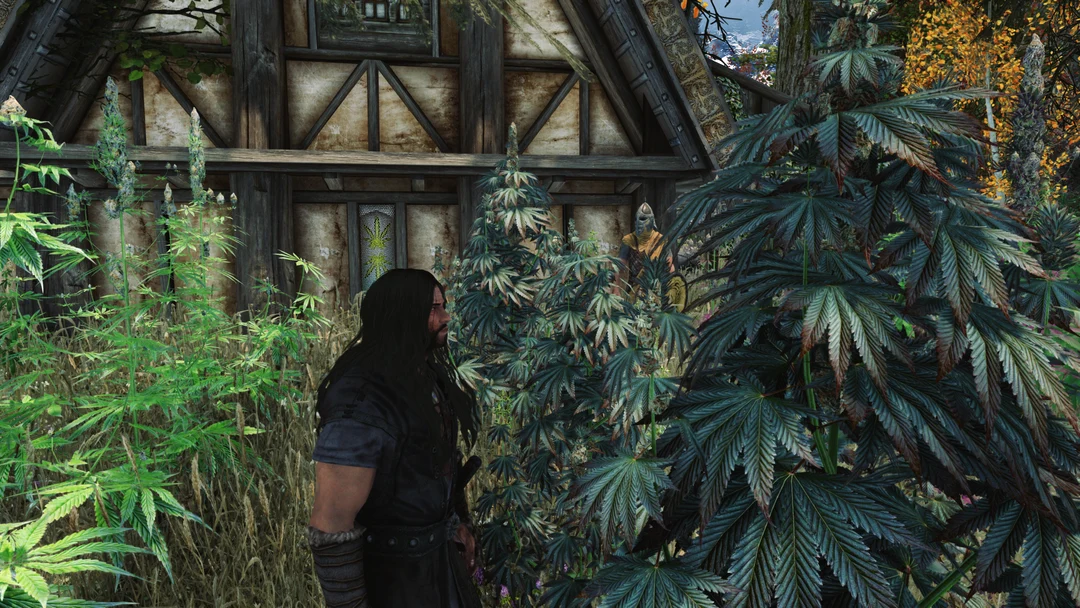 Oh NO! The Guards! | Scrolller