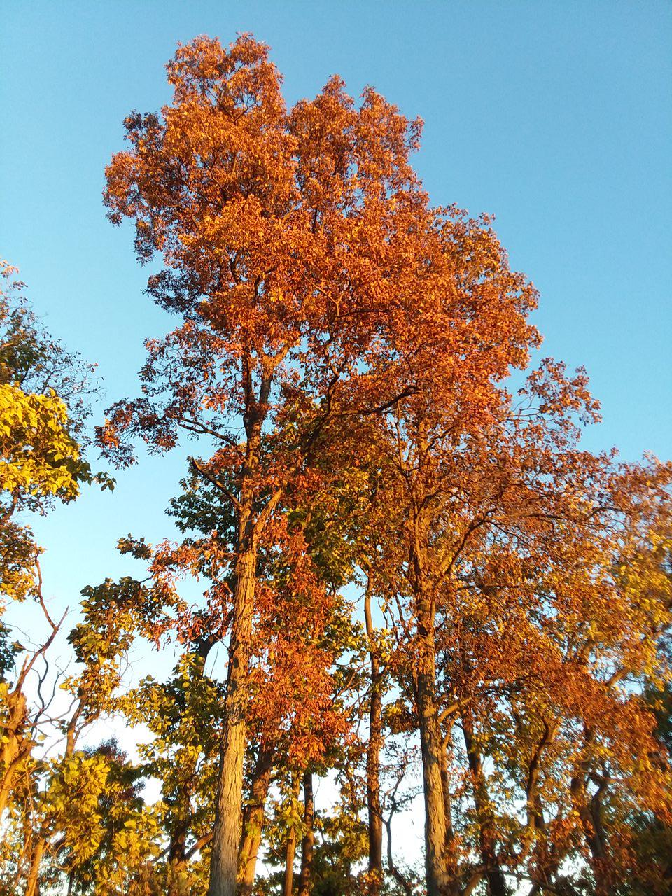 Wisconsin Autumn | Scrolller