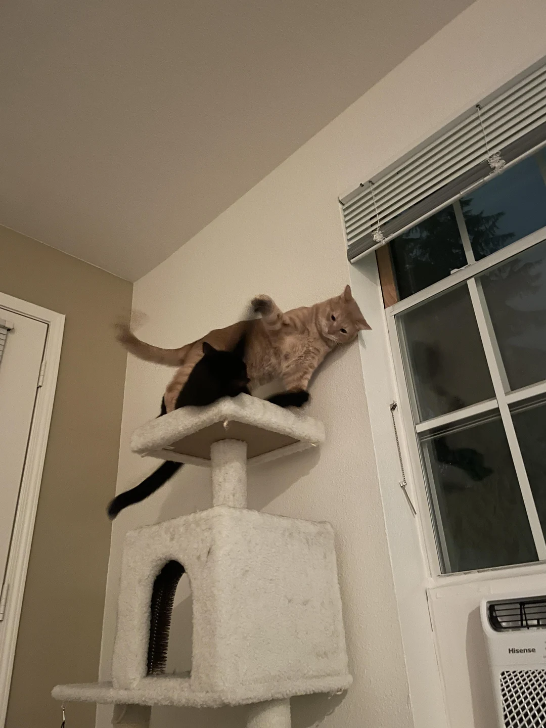 Typical sibling dynamics | Scrolller