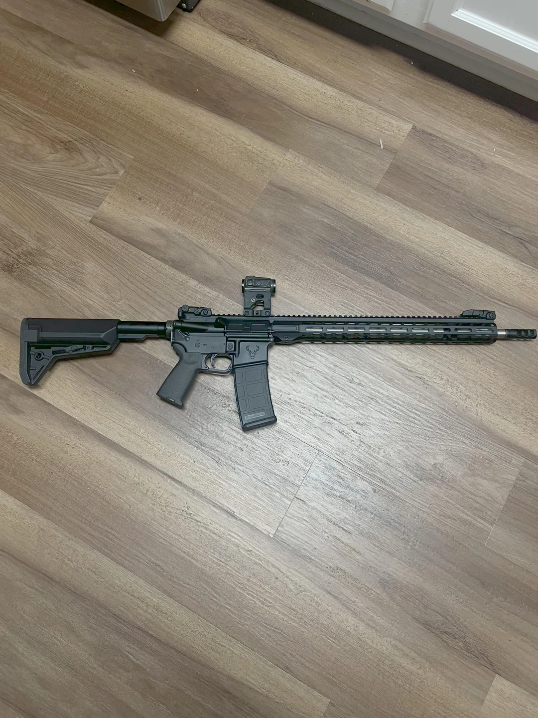 New (to me) Stag. 🦌 | Scrolller