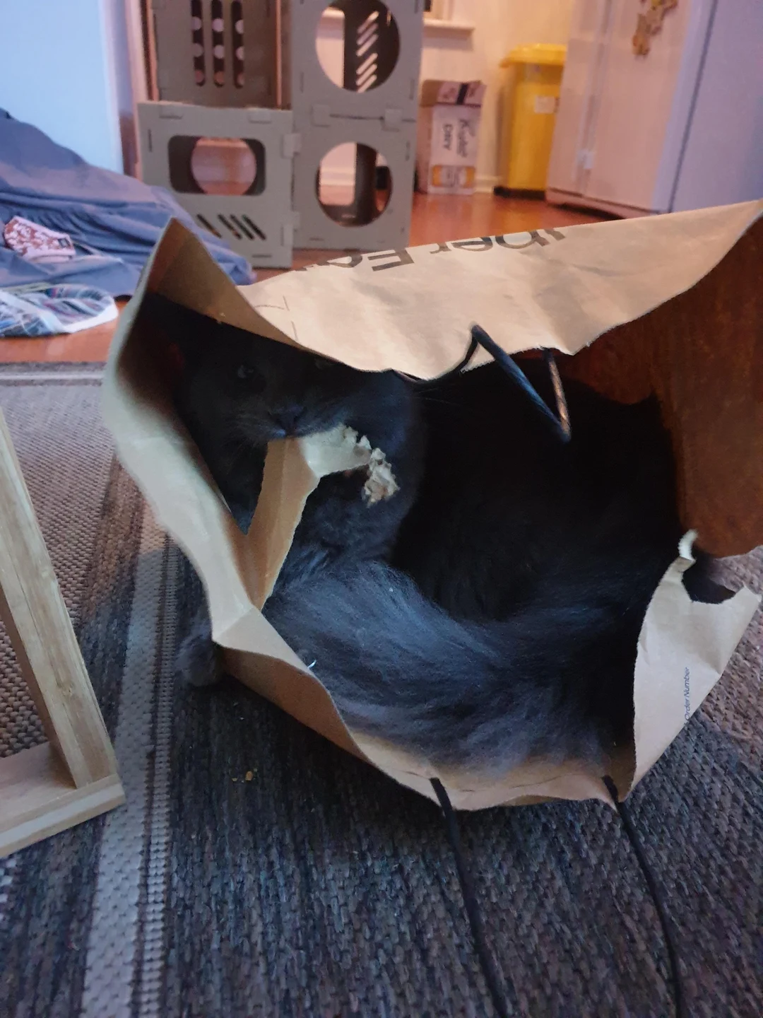 Paper bag traps are always best | Scrolller