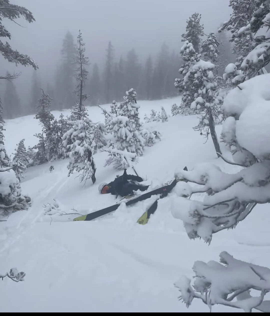 The pow incident | Scrolller