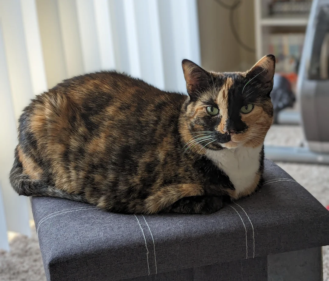 Freshly baked loaf | Scrolller