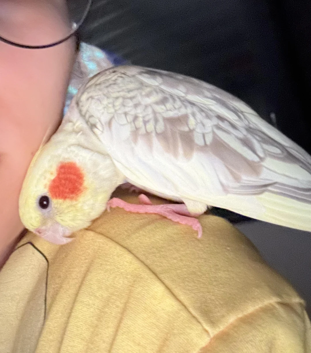 She’s being extra cuddly today | Scrolller