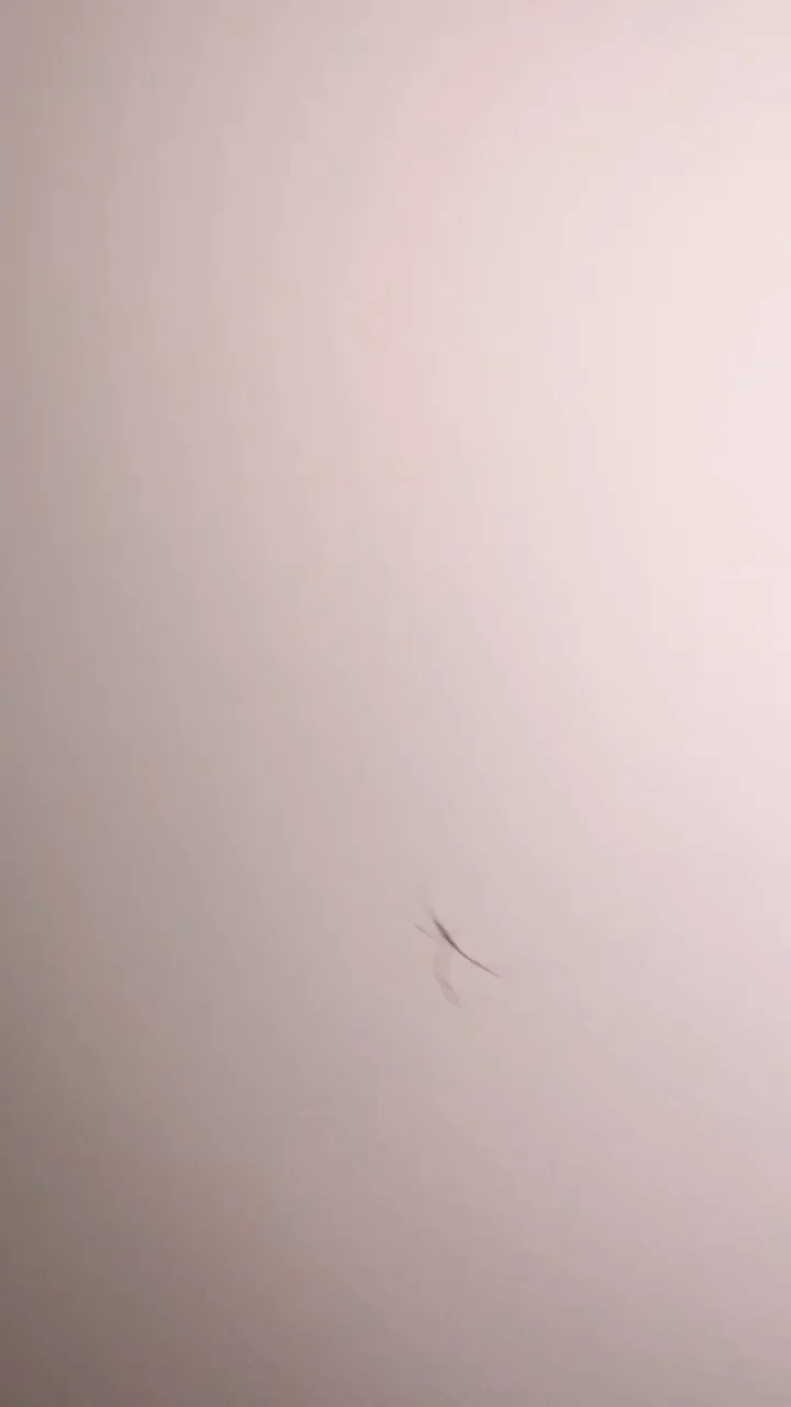 Goofy ahh spider 💀 | Scrolller