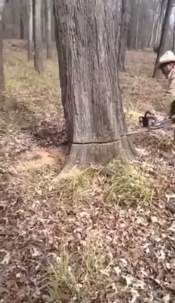 No quick cuts...how does this shit happen | Scrolller