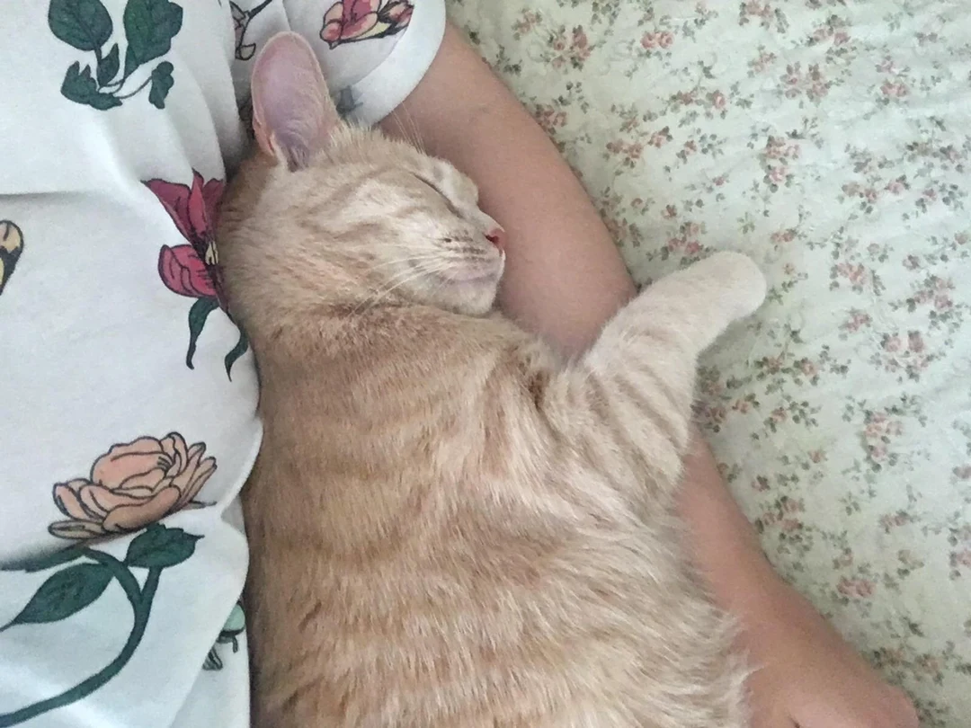 she loves to sleep cuddling | Scrolller