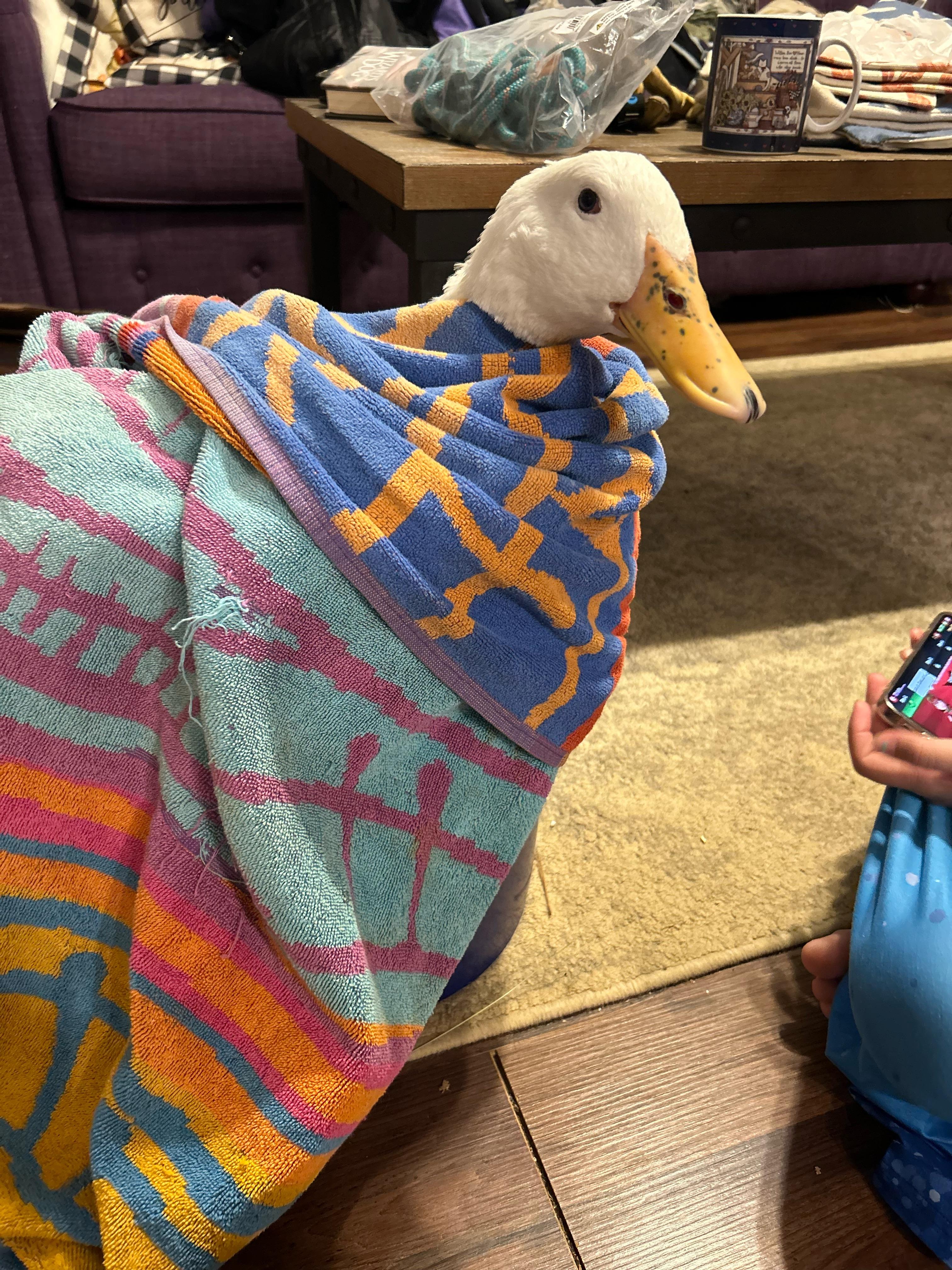 OC Duck spa | Scrolller