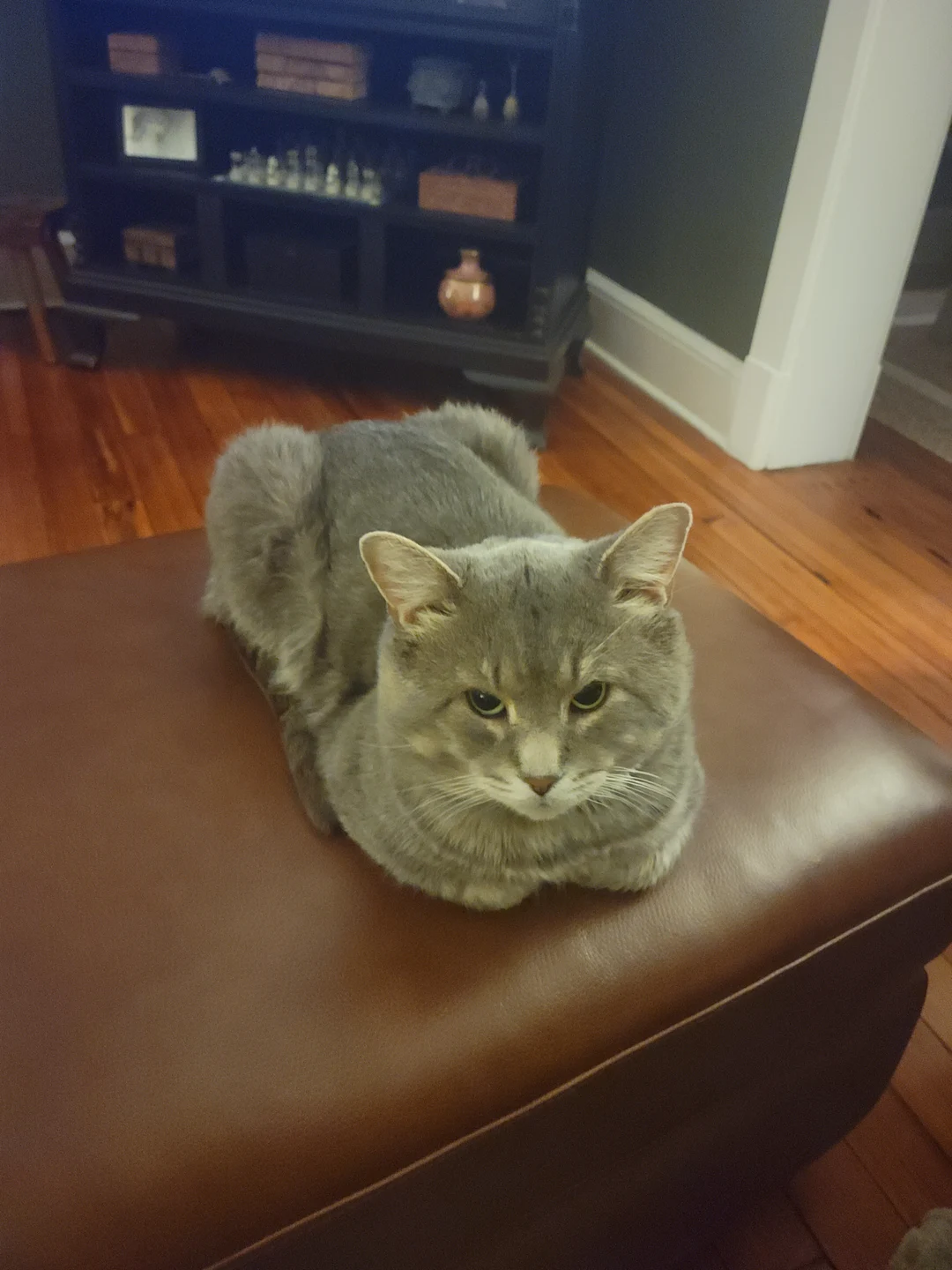 Texas toast loaf | Scrolller