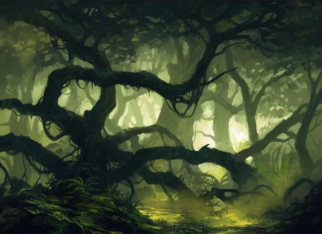 Swamp by Andreas Rocha (2013) | Scrolller