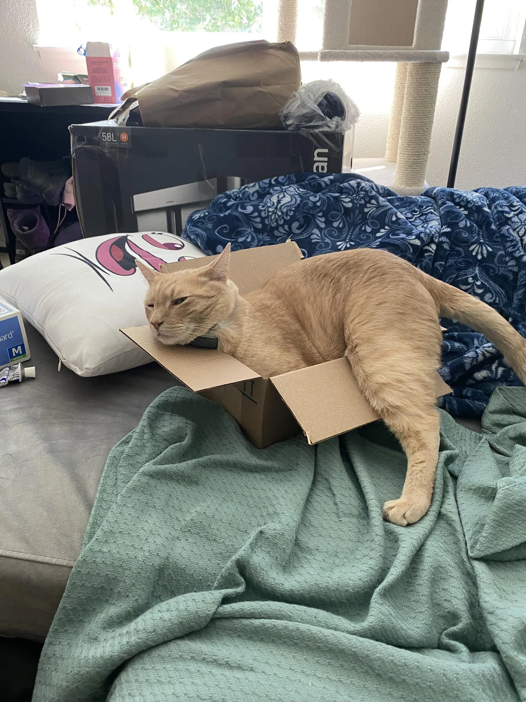 Getting sloppy | Scrolller