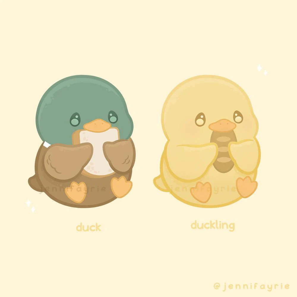 Ducks 🦆 | Scrolller