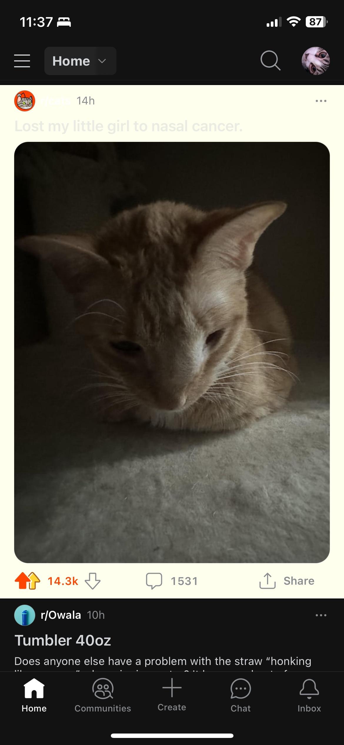 why is this post the only one on light mode? also i think the upvote looks strange. | Scrolller